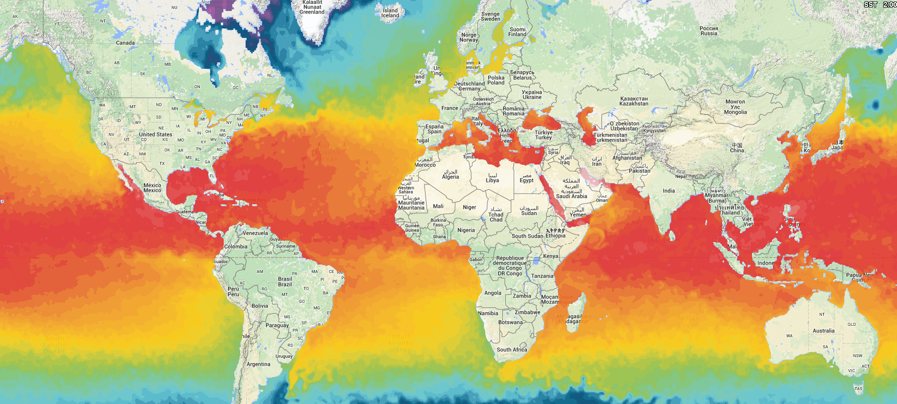 Map of surface temperatures of the oceans and seas of the world