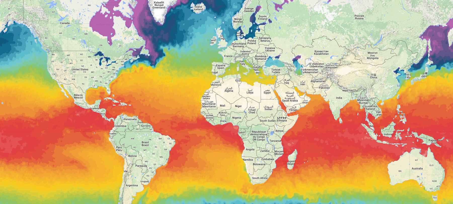 Map of surface temperatures of the oceans and seas of the world