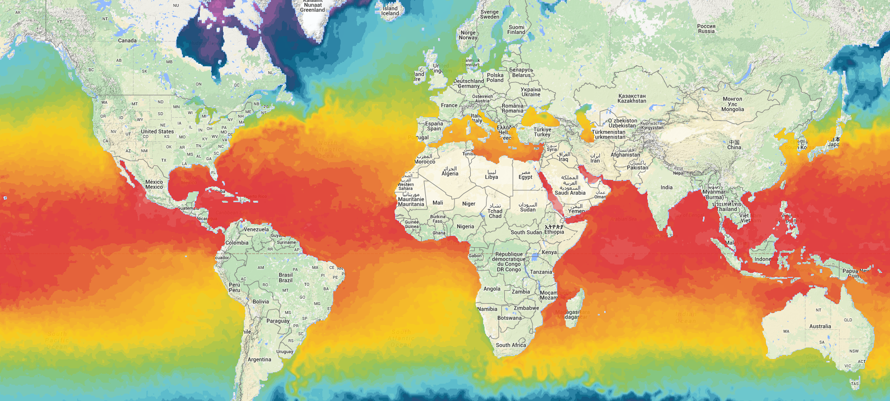 Map of surface temperatures of the oceans and seas of the world